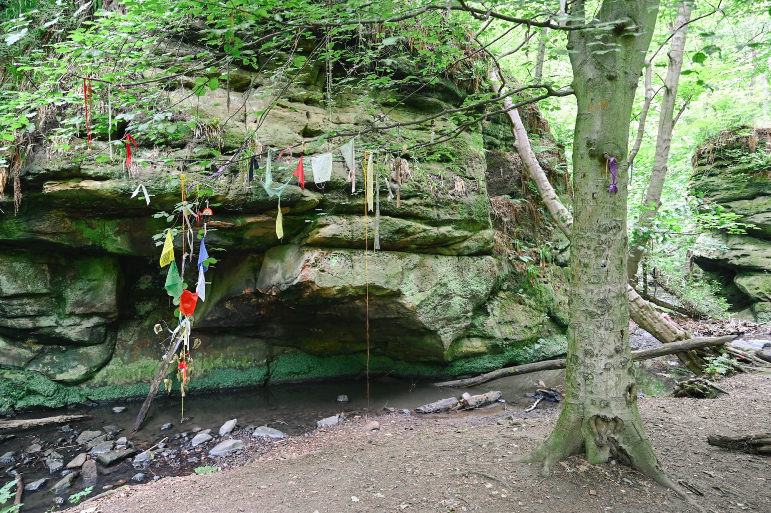 Tagesroute St. Andrews & Dunino Den - schottlandreise.net