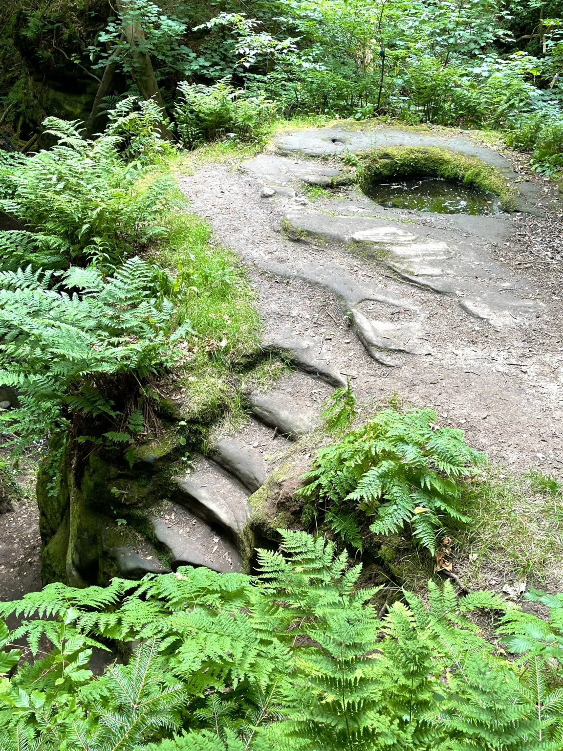 Tagesroute St. Andrews & Dunino Den - schottlandreise.net