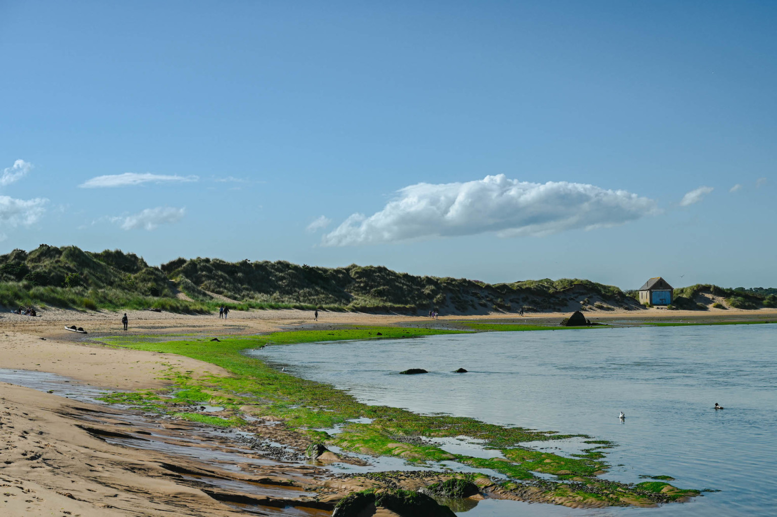 Dunnottar Castle - Stonehaven - Forvie- schottlandreise.net